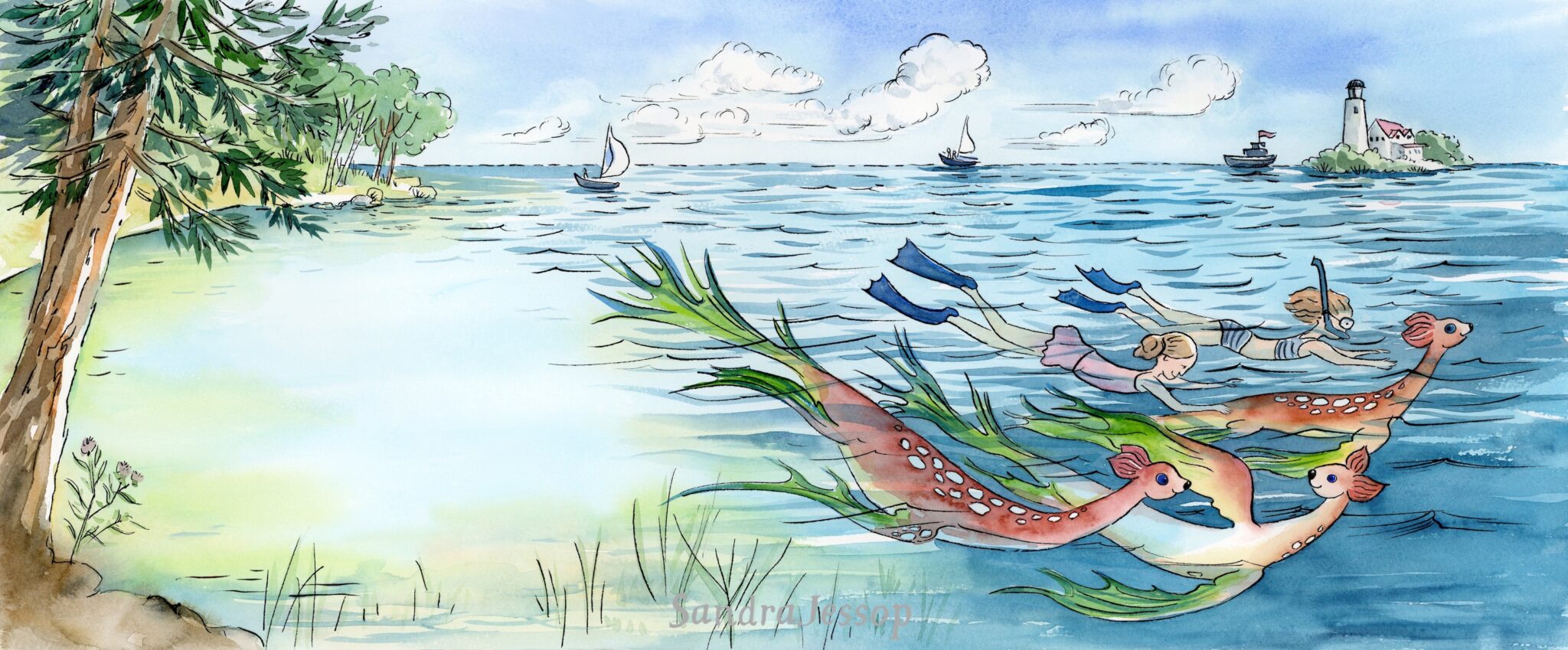 Book Illustration by Artist Sandra Jessop